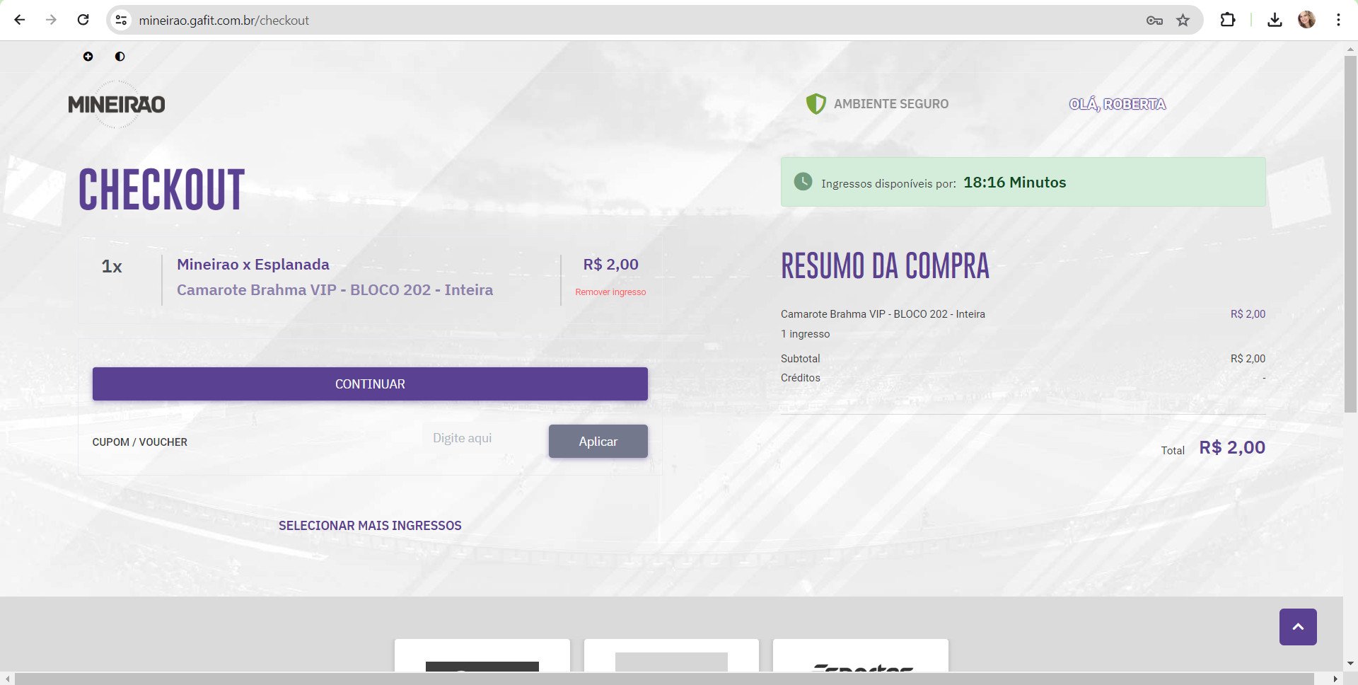 Mineirão - Cases de sucesso - GAFIT